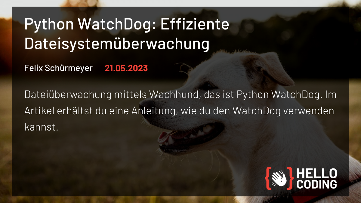 Python WatchDog: Effiziente Dateisystemüberwachung | HelloCoding